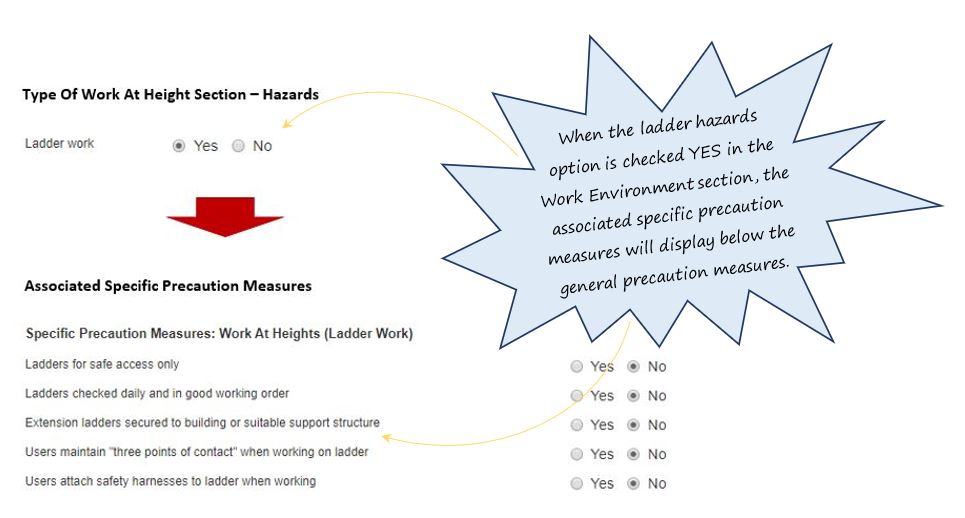 How do I complete the Precautionary Safety Measures section of the ...