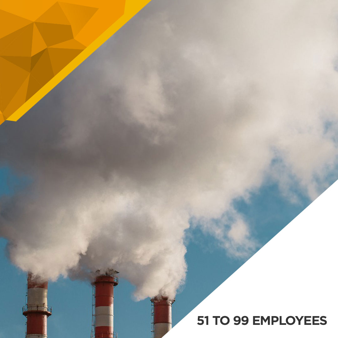 Airborne Pollutant Survey - 51 to 99 Employees