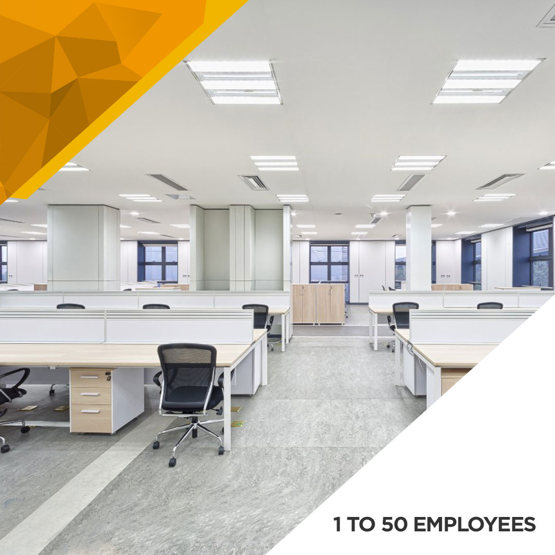 Illumination Survey - 1-to-50-Employees