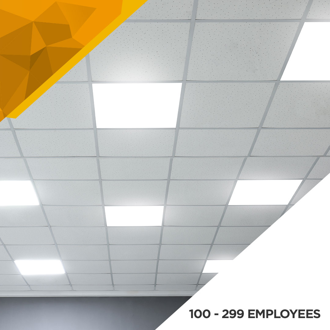 Illumination Survey - 100 to 299 Employees