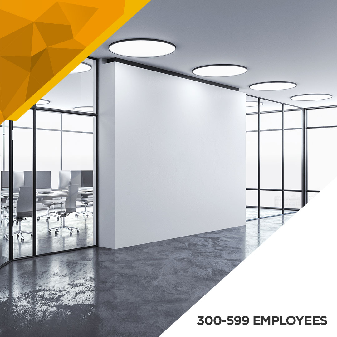 Illumination Survey - 300 to 599 Employees
